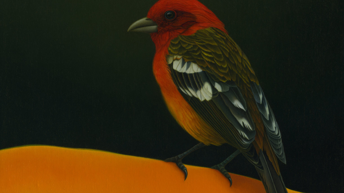 Ian Tan Art Gallery Vancouver – The Best Contemporary Art Gallery